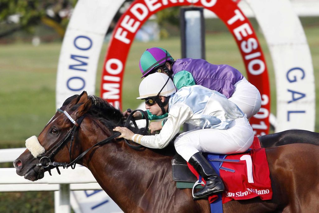 Federico Tesio: storia dell'allevatore di cavalli | Sisal News