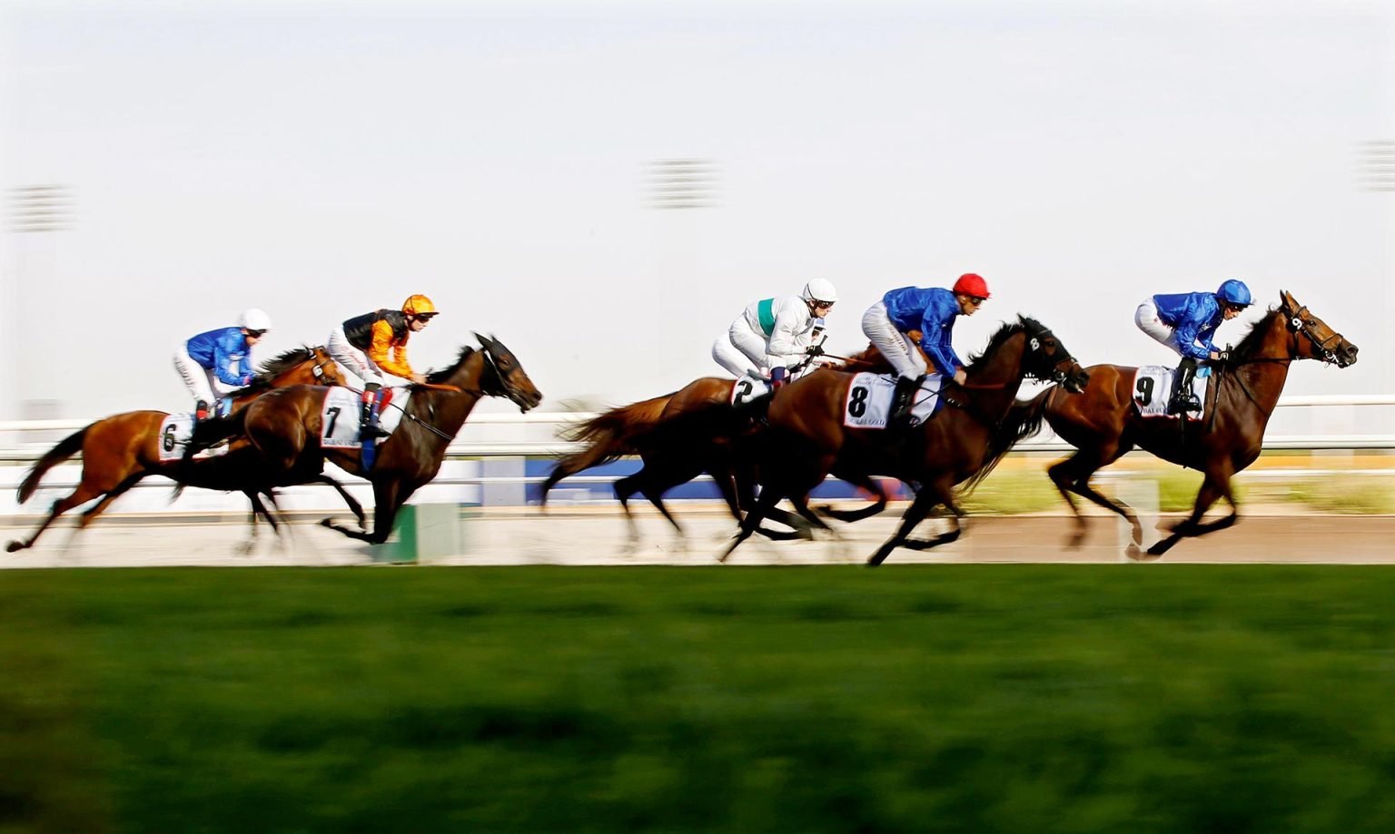Trotto e galoppo: differenza tra le andature del cavallo | Sisal News