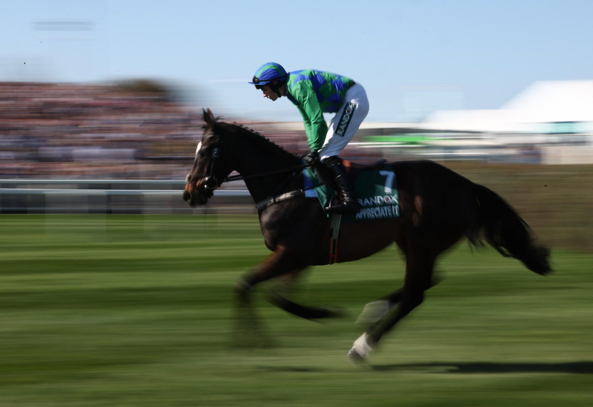 13 cavalli famosi della storia delle corse | Sisal News