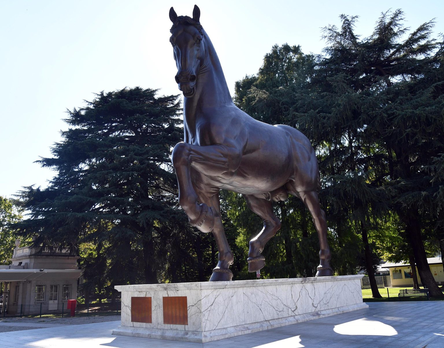 Cavallo Mustang: carattere e caratteristiche | Sisal News